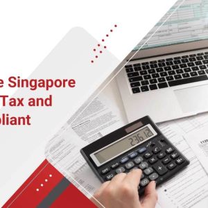 Singapore Withholding Tax: Essentials to Know