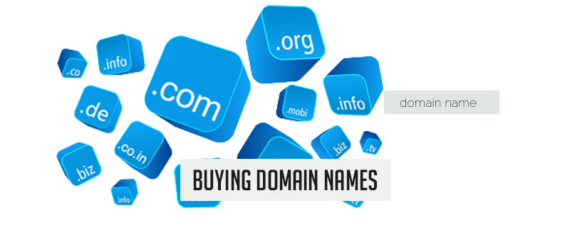 Businesses You Can Start With $250 Or Less | Infographics